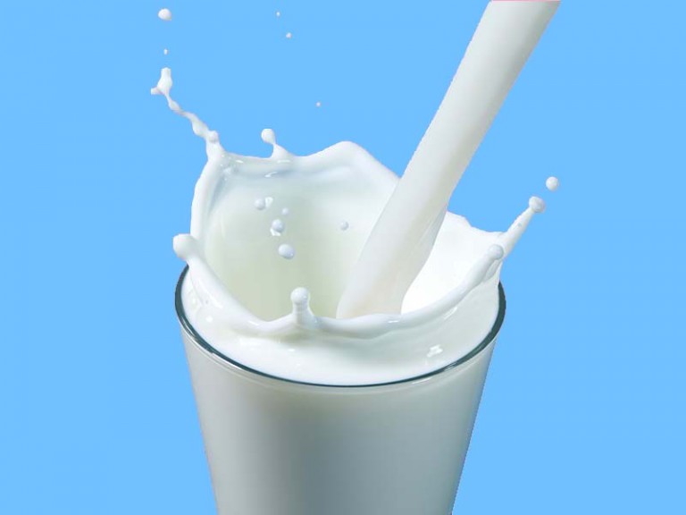 Benefits of milk -Facts Which we need to Know